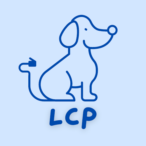 LCP Operational Services – LCP Ops is an IT service provider for the ...
